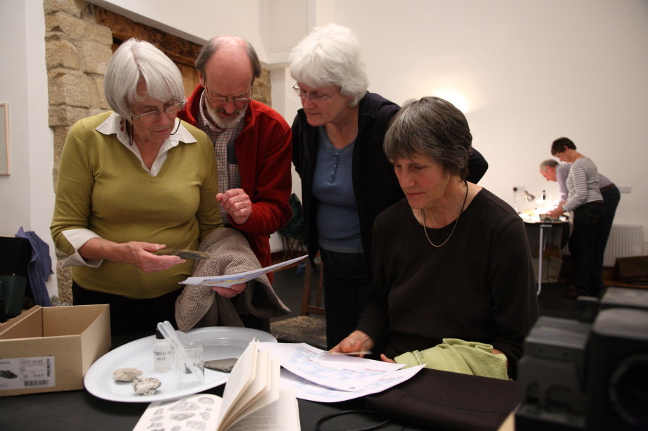 Projects | Whitestone Arts